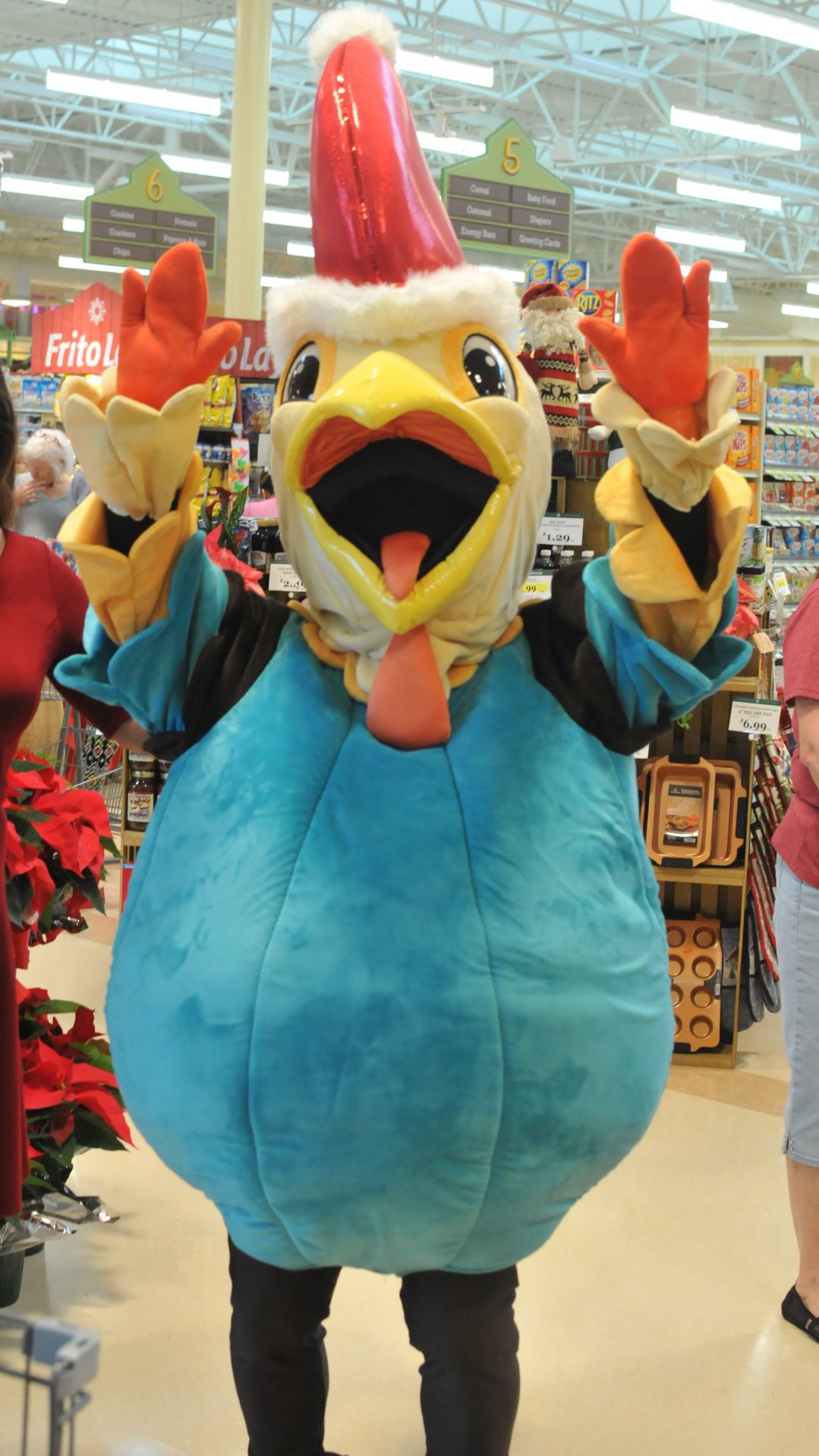 Lowes Foods now open