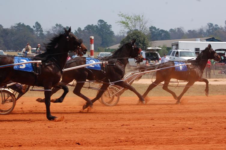 Thoroughbred jockey drives two winners during McGhees' Mile ...