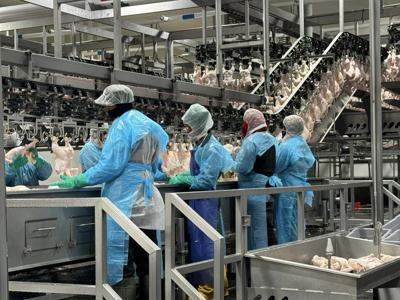 Opinion: Relocate West Columbia's chicken plant & redevelop