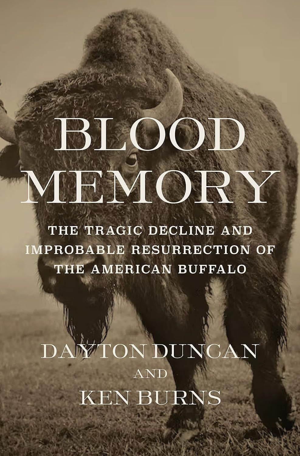 'Blood Memory' tells tragic history of the American buffalo