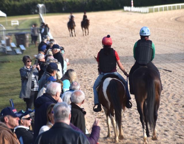 Breakfast at the Gallops offers opportunity to see thoroughbreds train