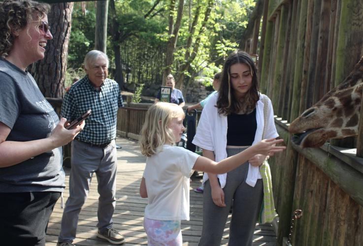 PHRAGMENTS FROM PHYLLIS: Spring break adventures continue | Opinion, Columns and Letters ...