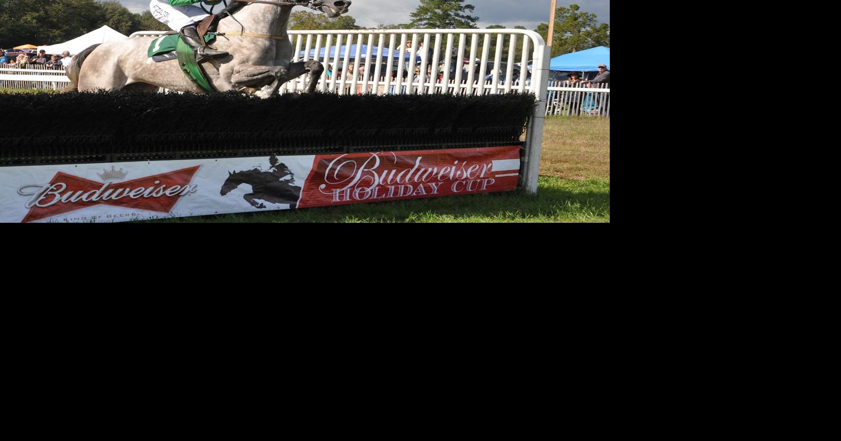 Aiken Fall Steeplechase will be held 'rain or shine' Saturday at Bruce ...