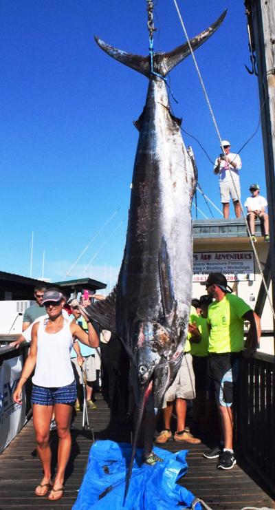 huge marlin