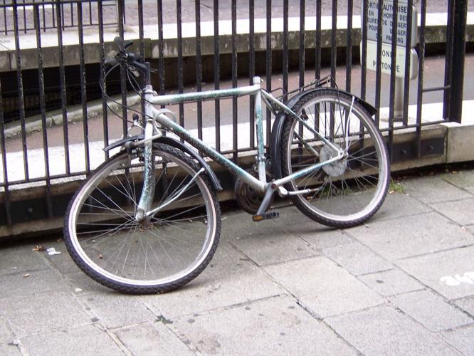 Reader photos: Bike rides