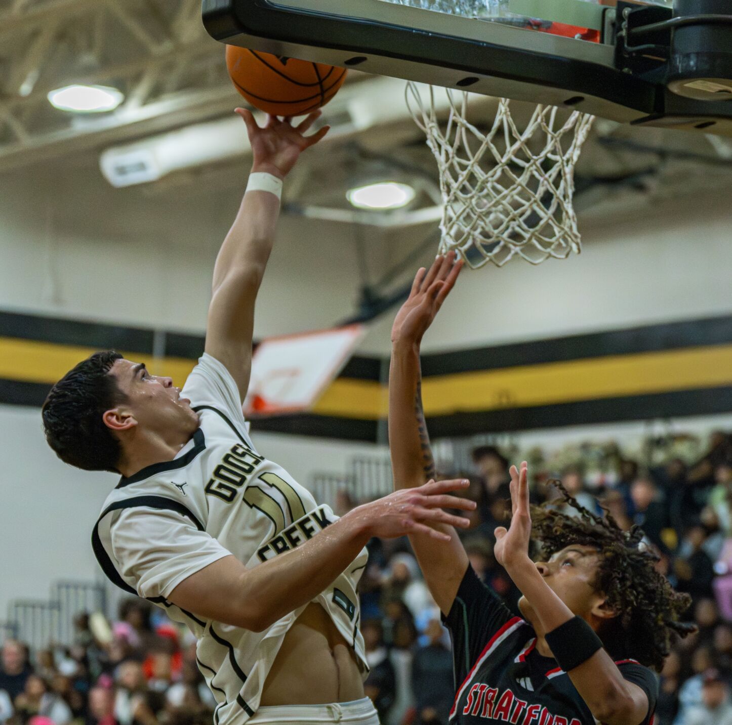 Gators' squads lead Berkeley County teams in Jan. 27 polls