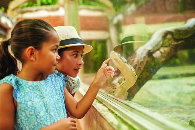 Guest column: Standards are necessary to protect children from ...