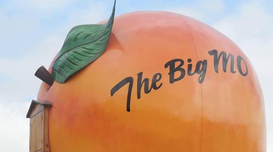 Top summer films, classics to be shown Big Mo wins contest, going ...