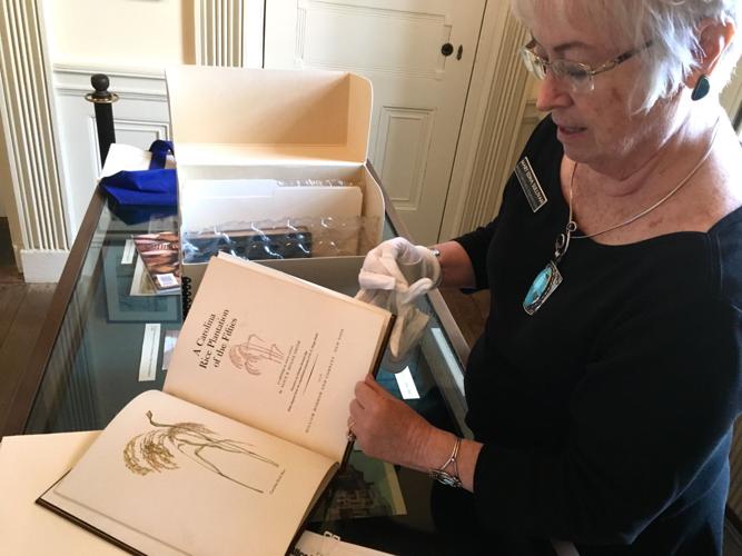 Exhibits showcase Charleston Renaissance painter Alice Ravenel Huger ...