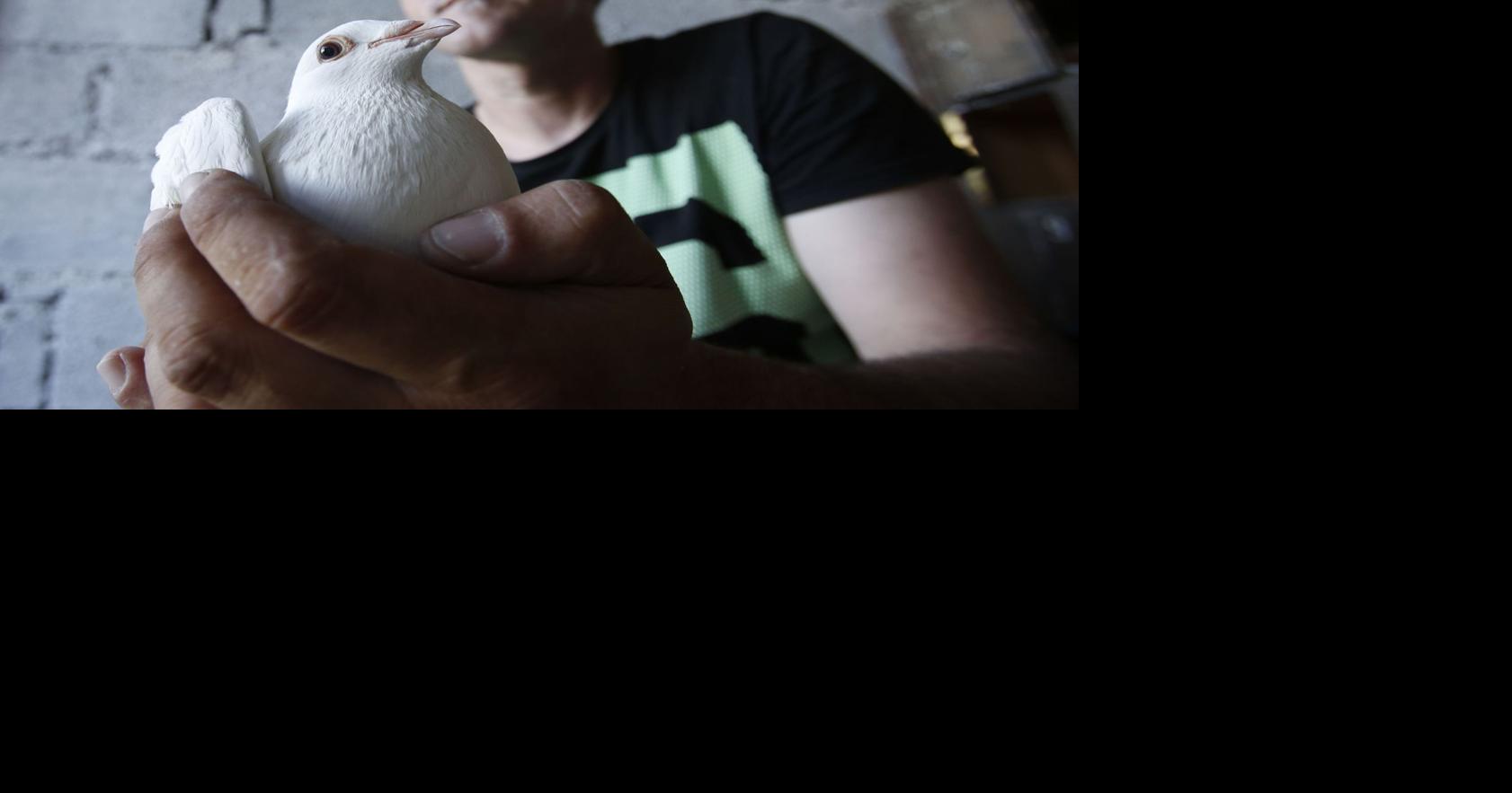 Pope will answer mailman’s prayer | Faith and Values | postandcourier.com