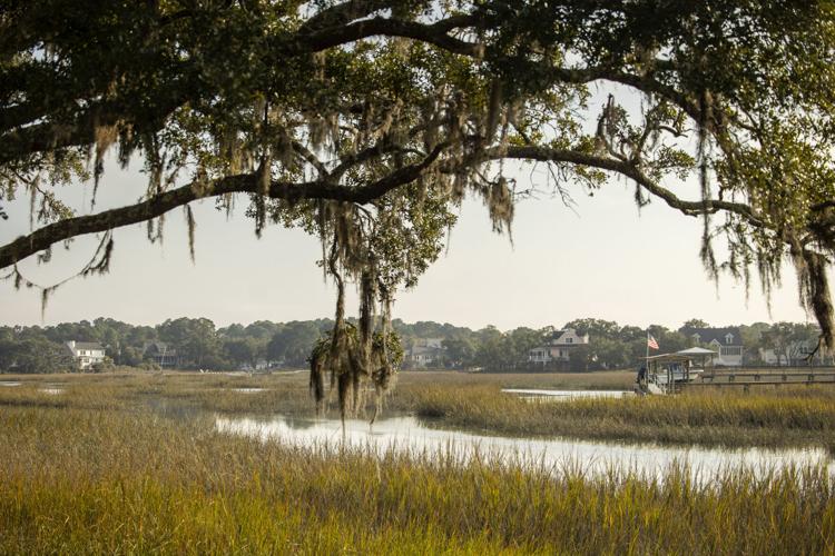James Island to create a new park, build a new arts center