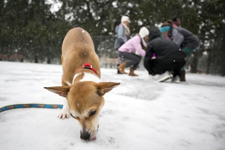 Flurries in Aiken; snow day at the beach as snow and ice come to South ...