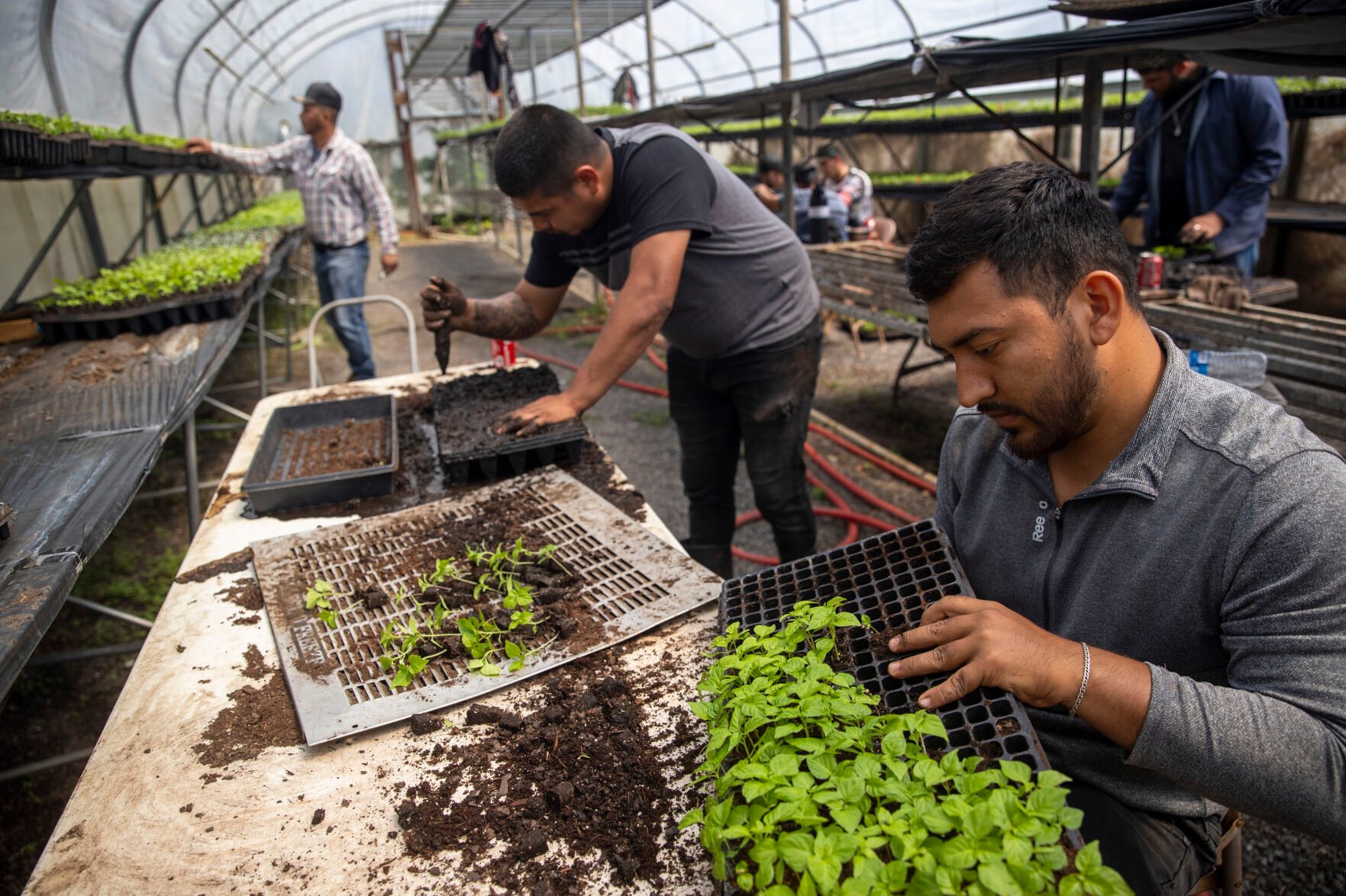 Meet Ed Currie, the South Carolina man who created Pepper X