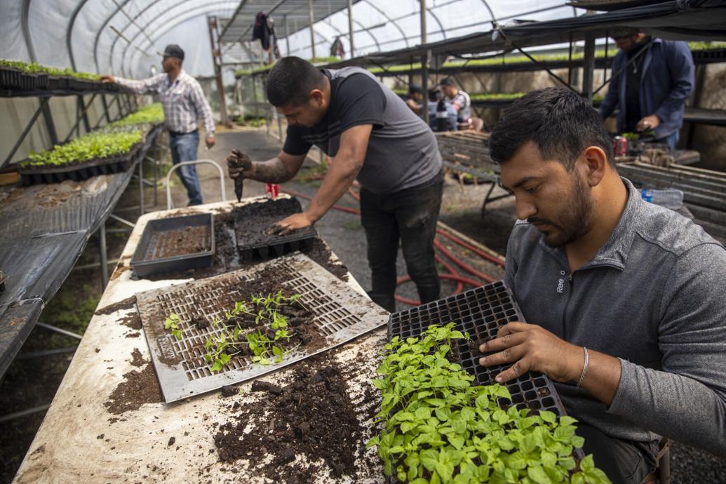Meet Ed Currie, the South Carolina man who created Pepper X