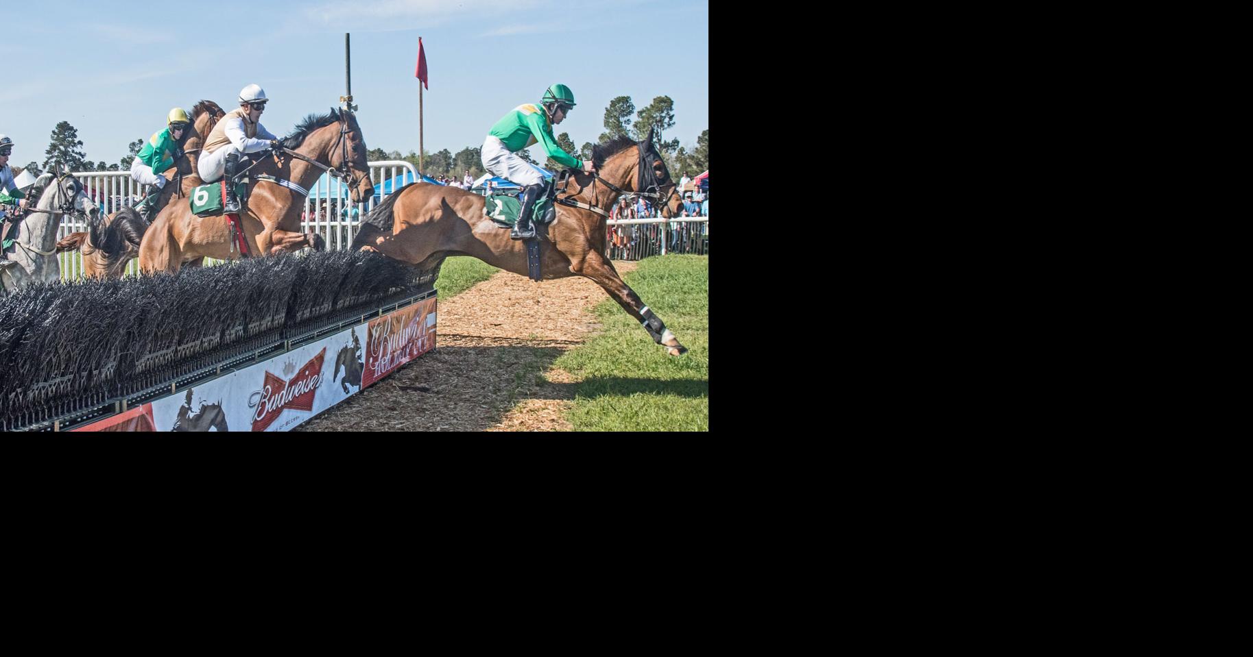 Editorial: New home for Aiken Steeplechase a win-win for everyone ...
