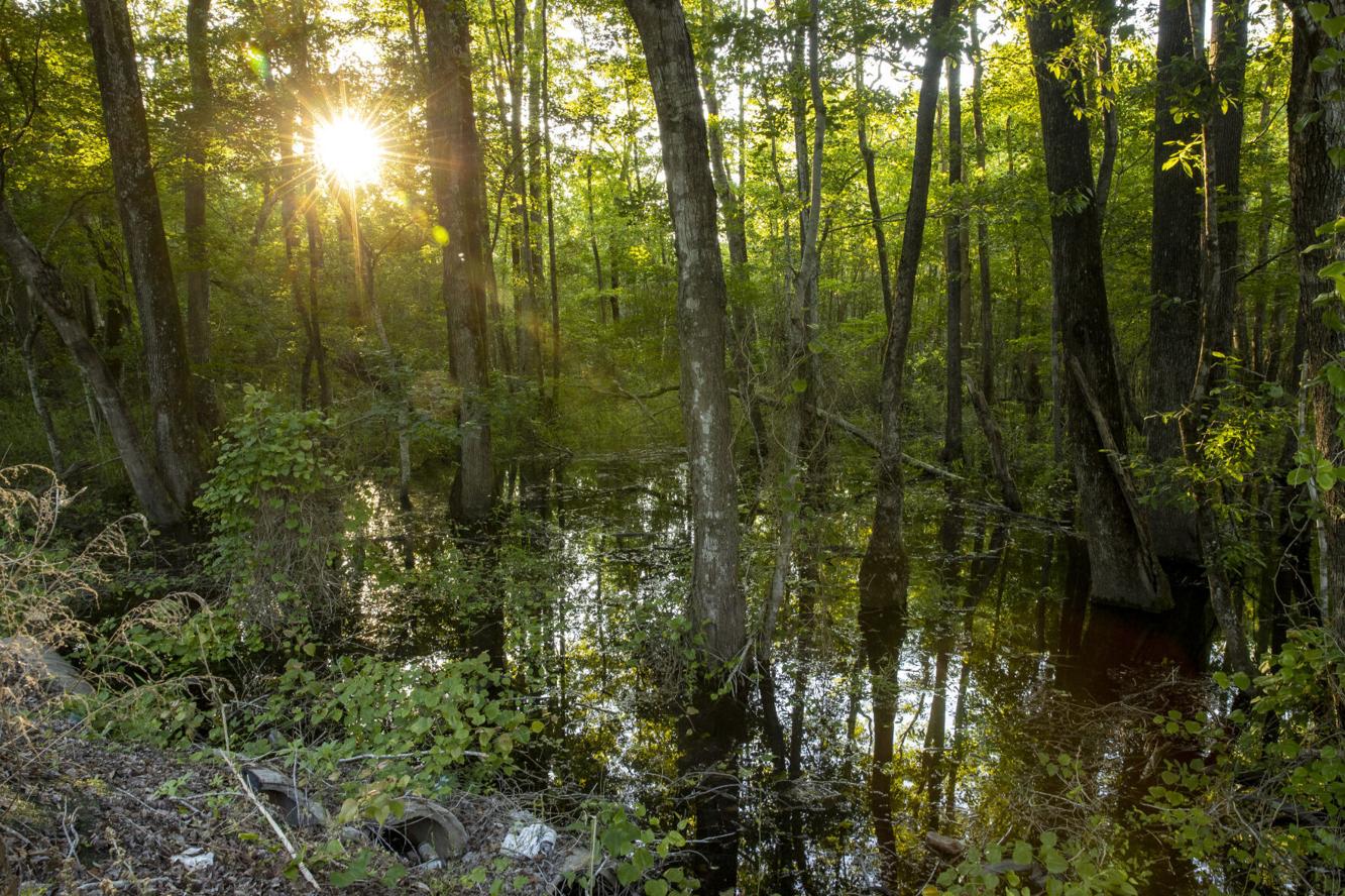 Lizard Man of Bishopville, SC, draws local lore for legendary legacy