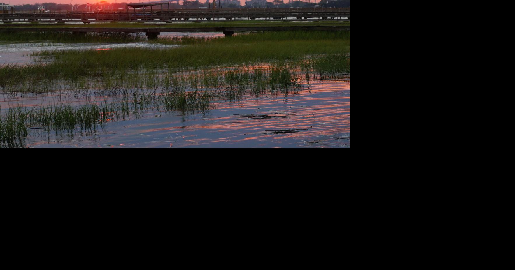 All New Lowcountry Landscapes