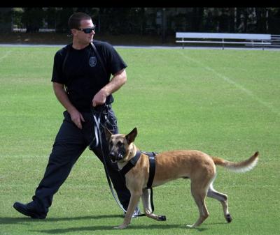 RIP K-9 Arie