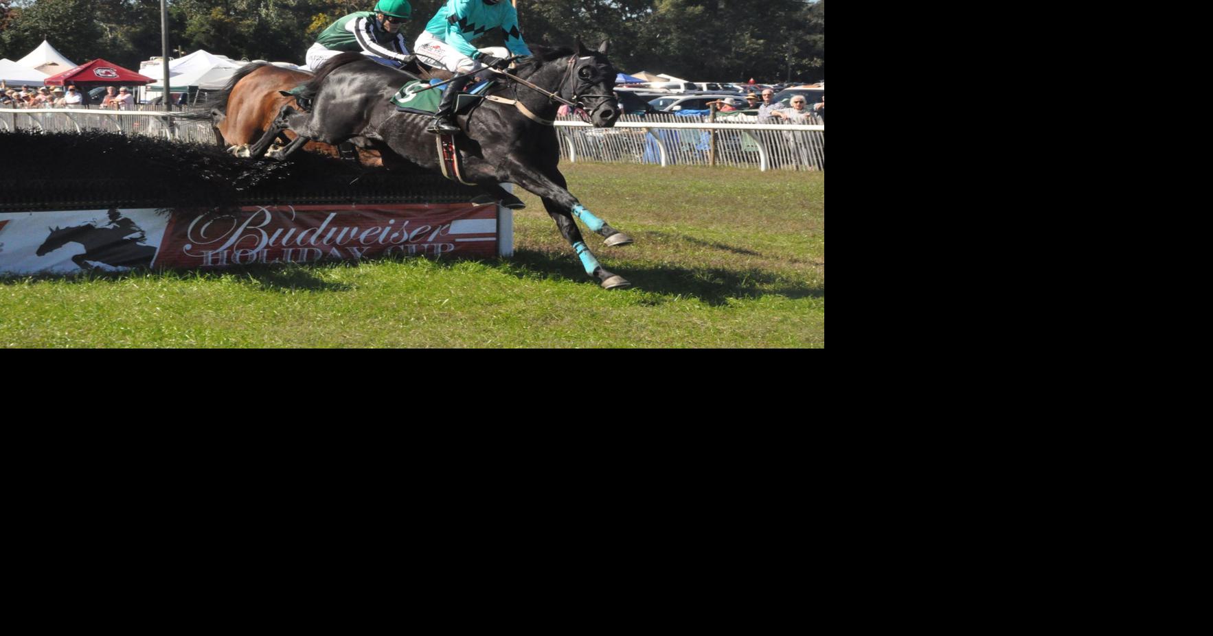 Aiken Fall Steeplechase attracts leading rider, other jump racing stars