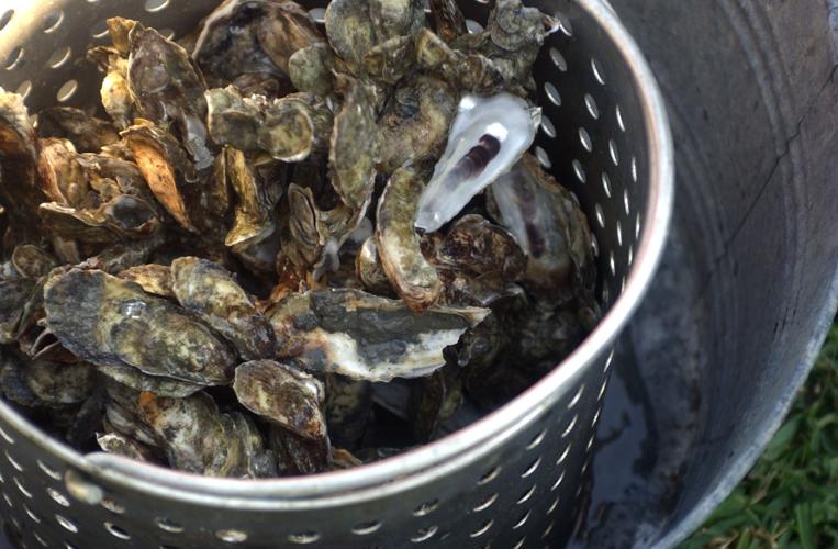 The Lowcountry loves its oyster roasts