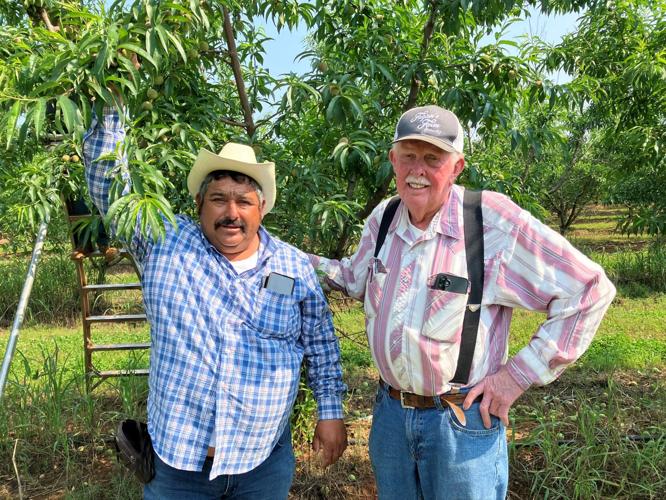 SC family farms struggle to keep up visa worker pay increase