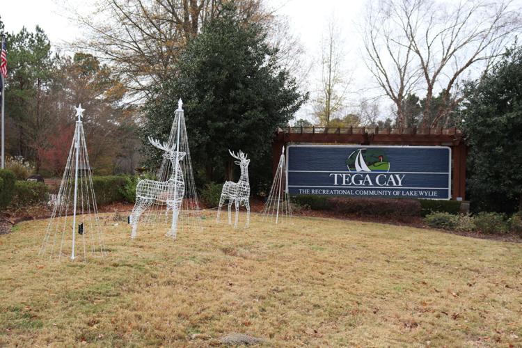 Sharpshooters to cull over-populated deer in SC suburb