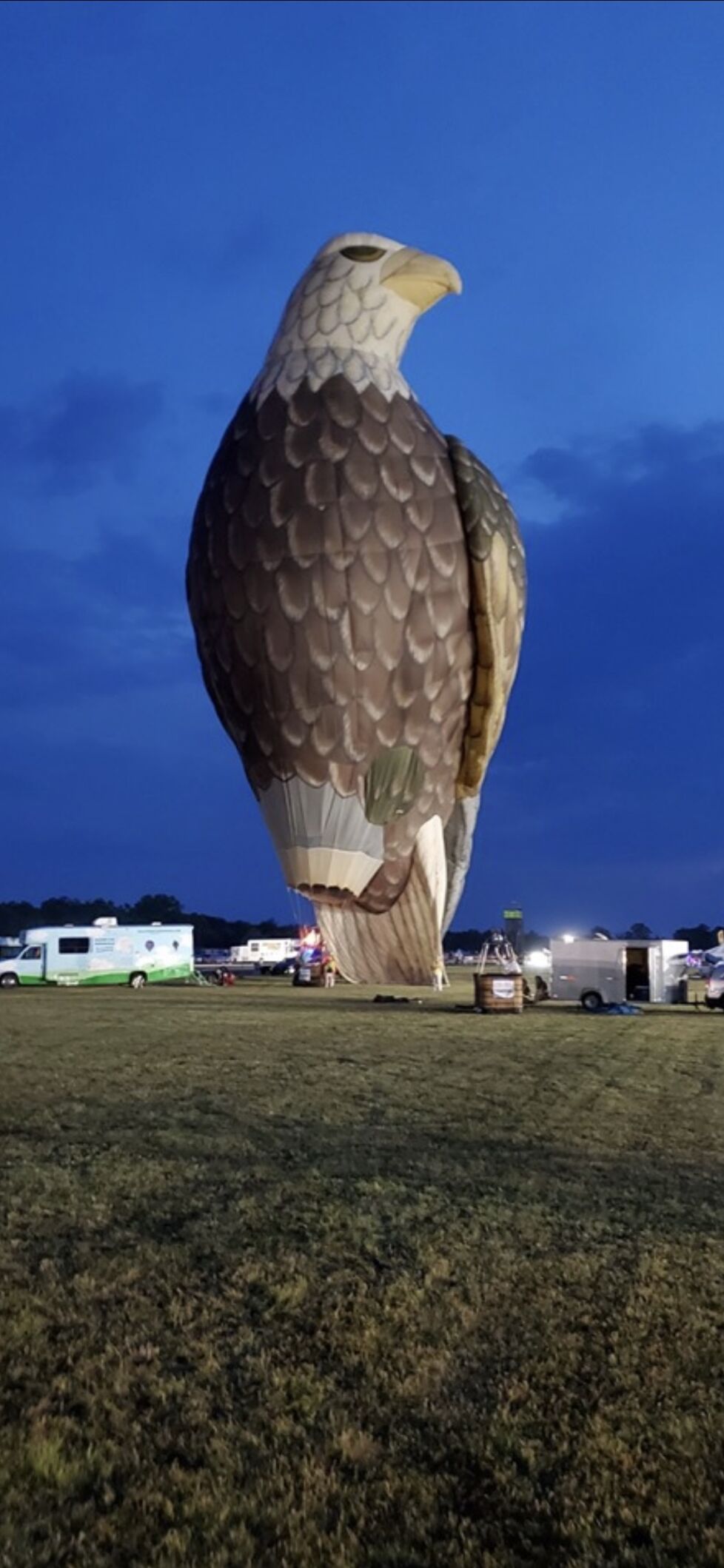 Aiken Hot Air Balloon Festival coming this spring | Entertainment ...