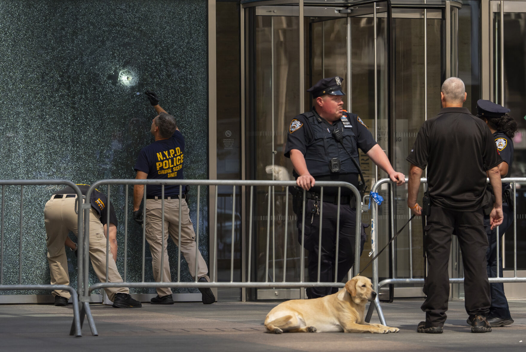 Weapon from New York shooting linked to SC gun company