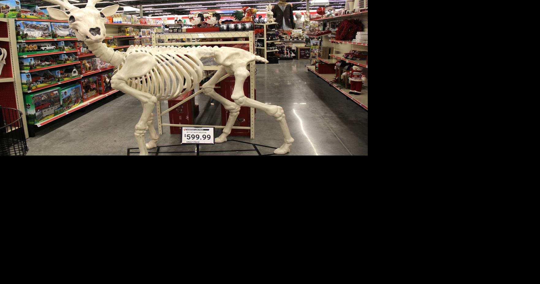 Tractor Supply celebrates grand opening in Kingstree