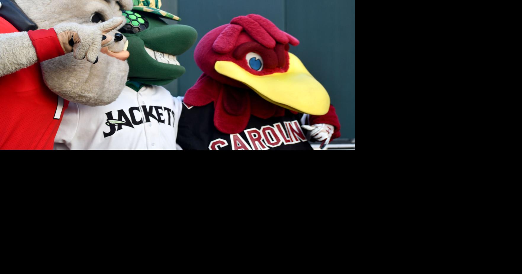 Border Bash to focus on its 30th anniversary prior to SEC rivalry ...