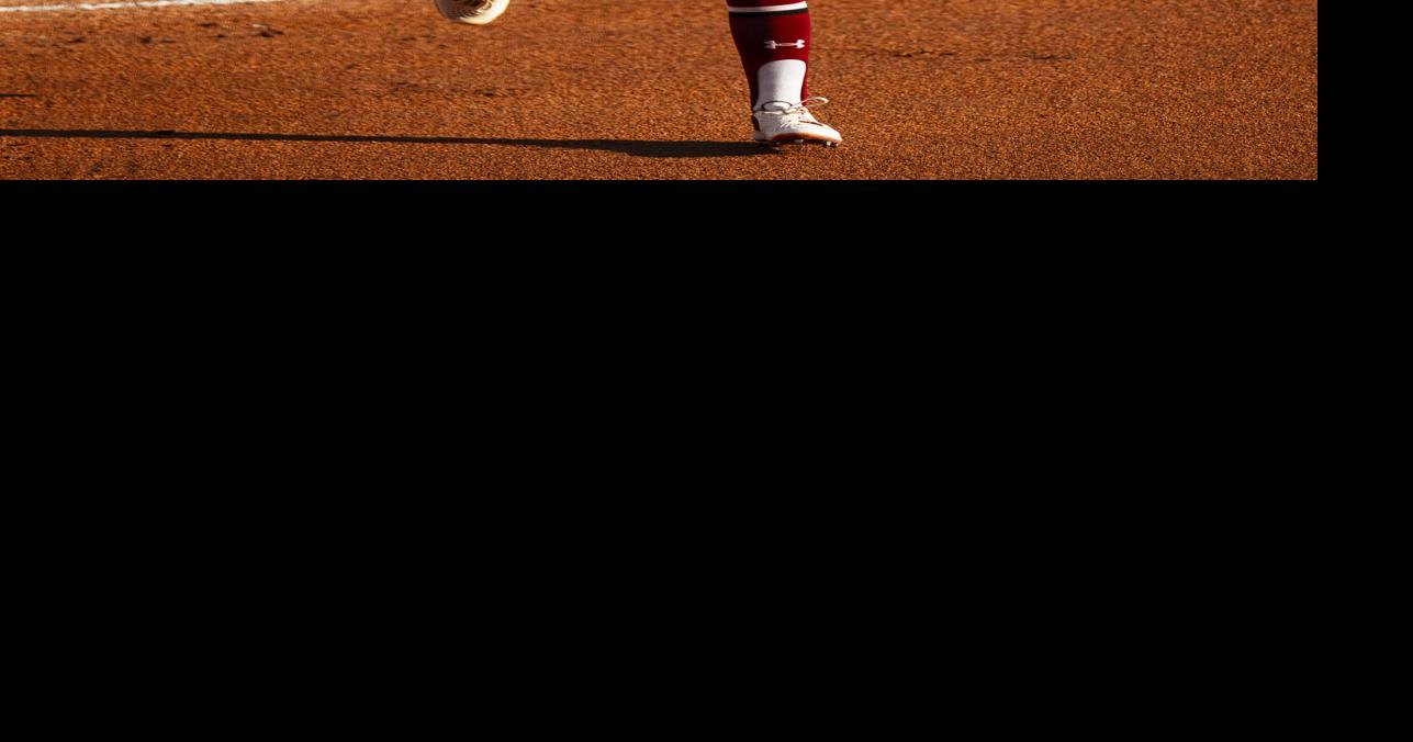 Cades native Nealy Lamb shines in first season with Gamecocks