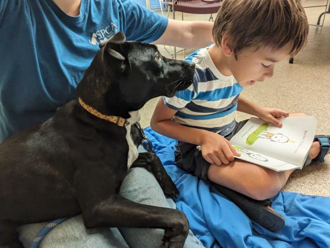 ANIMAL CONNECTION: Help animals at the SPCA Albrecht Center write their ...