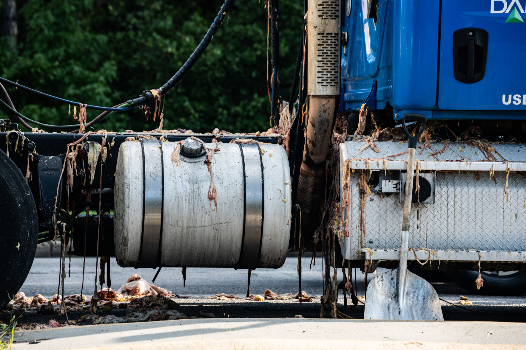 Truck spill results in raw meat coating West Columbia road