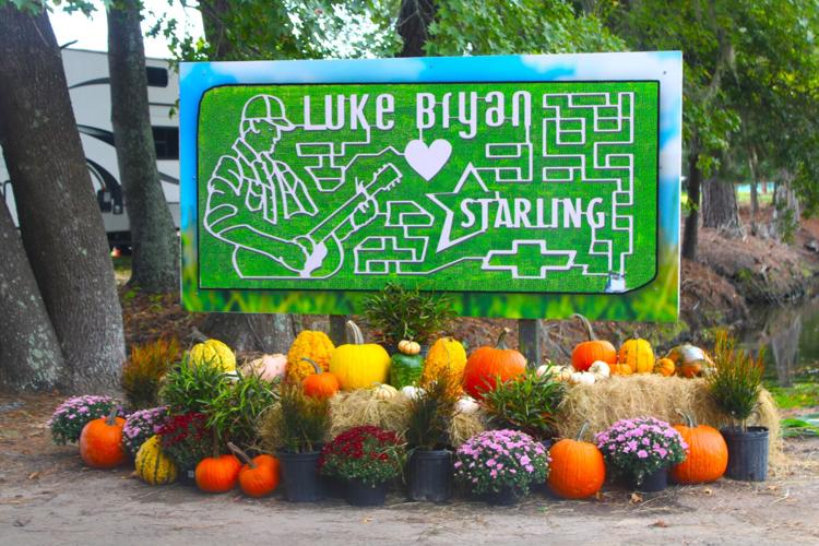 The Boone Hall Corn Maze takes flight | News | postandcourier.com