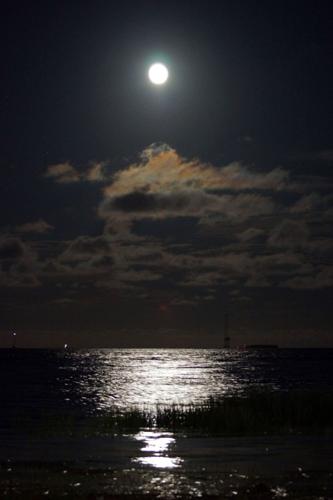 full moon higher tides