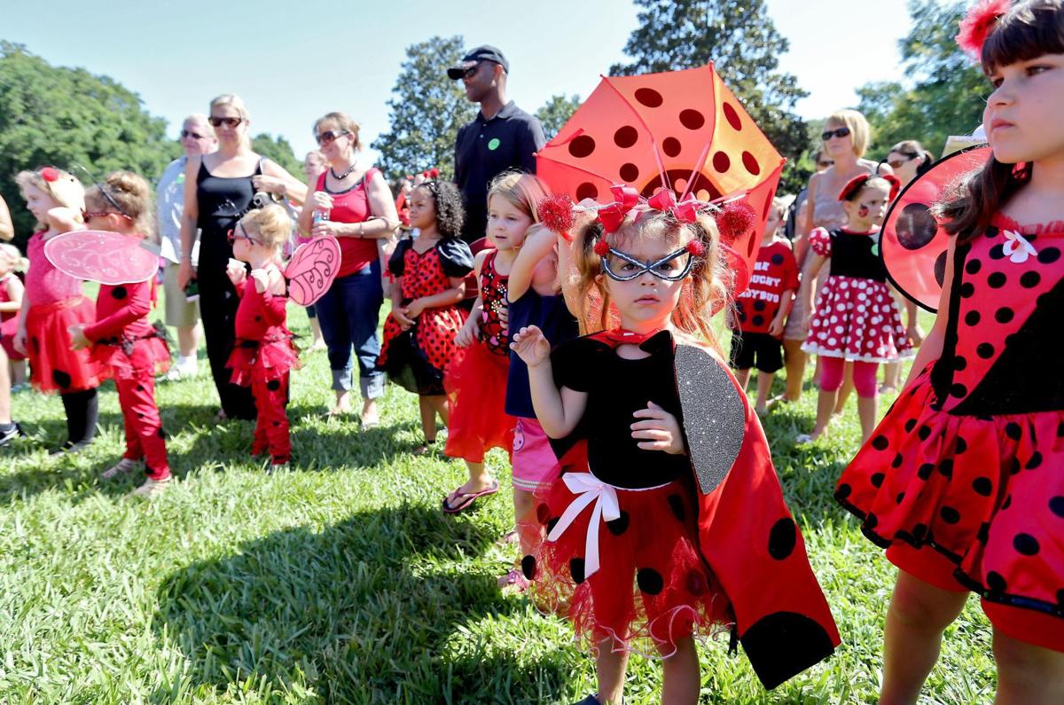 My Charleston Weekend | | postandcourier.com