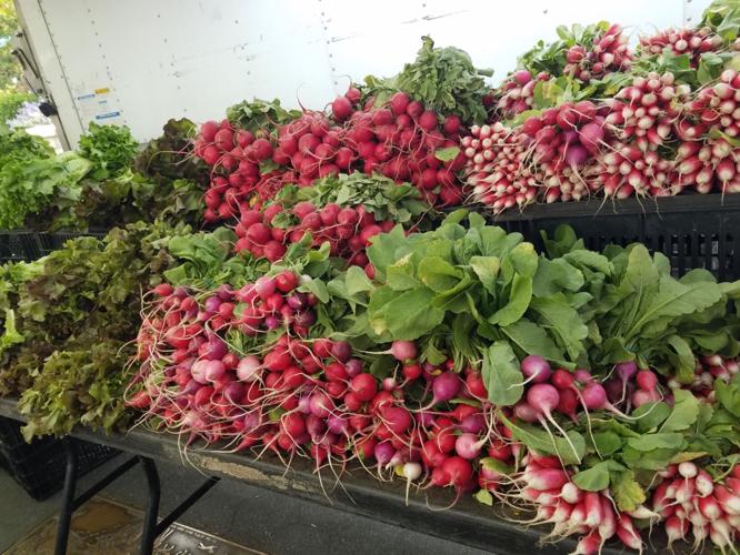 Reader photos: Red | Features | postandcourier.com