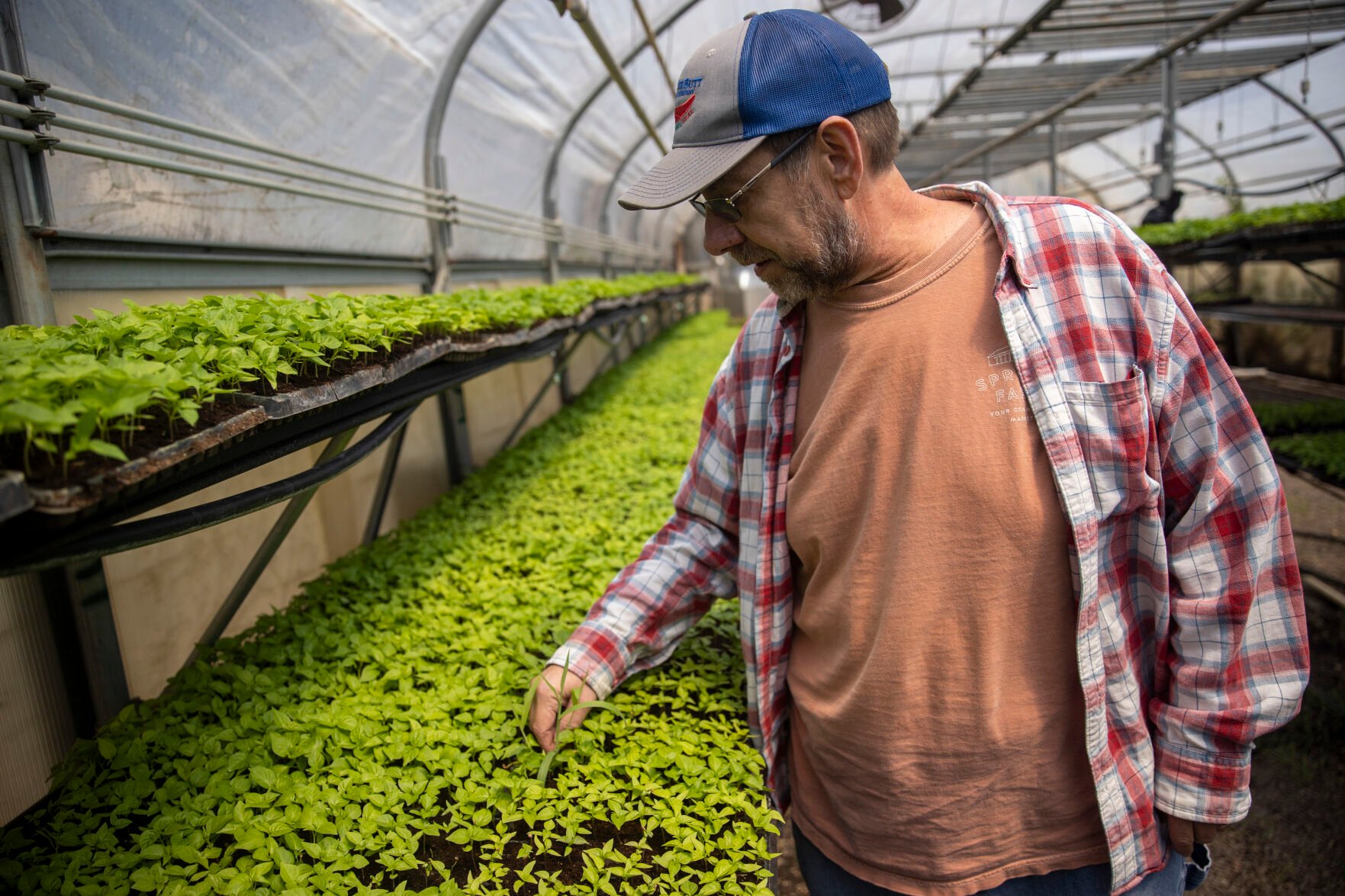 Meet Ed Currie, the South Carolina man who created Pepper X