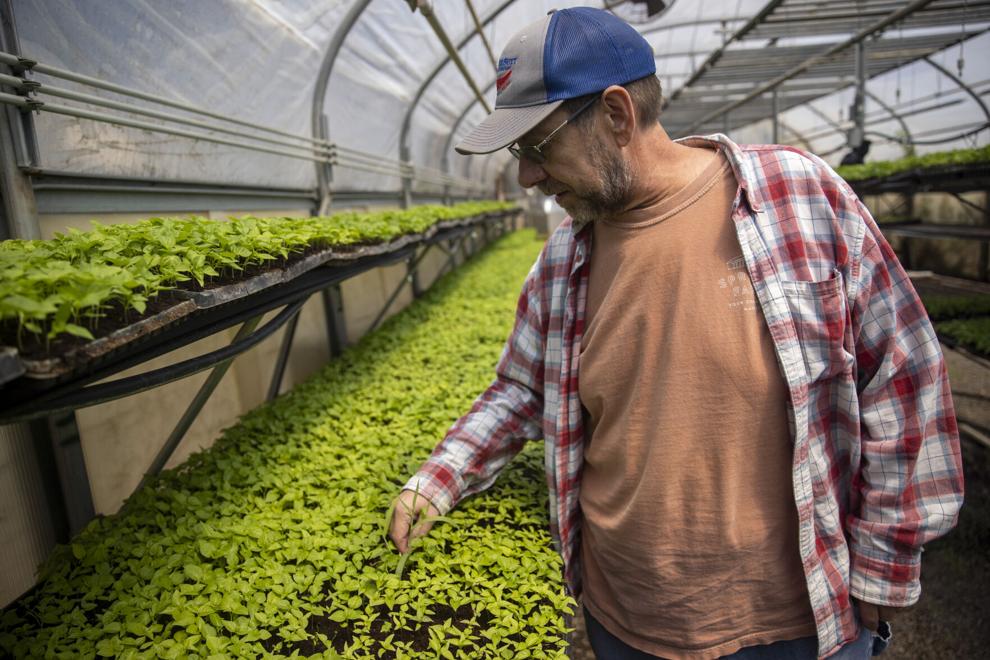 Meet Ed Currie, the South Carolina man who created Pepper X