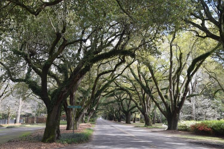 Aiken ranked 10th on Southern Living list of Top Small Towns