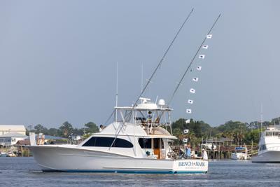 All billfish released in 2023 SC Governor's Cup