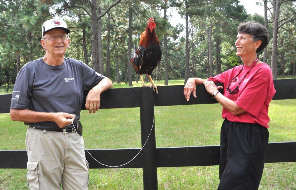 Creator of Gamecocks' live mascot program dies at 79