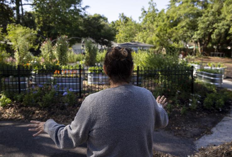 North Charleston starts 1st food forest to provide produce