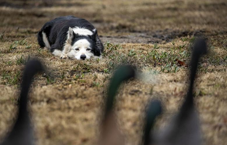 SEWE 2024 event schedule