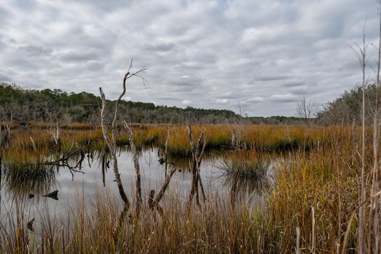 marsh space projects