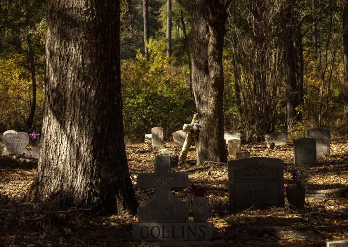 Berkeley County to turn Huger rice plantation into a park