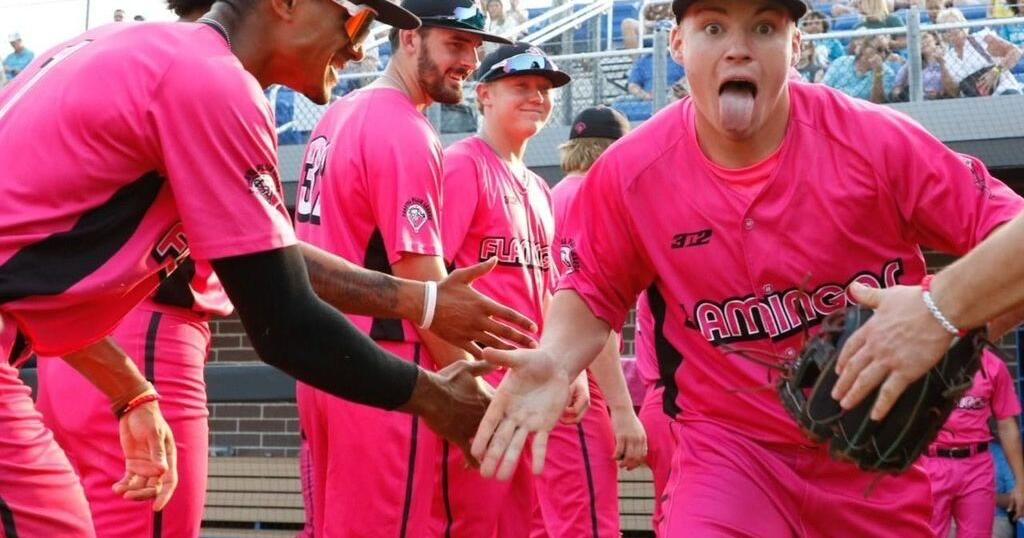 When to go, what to expect at Florence Flamingos home games