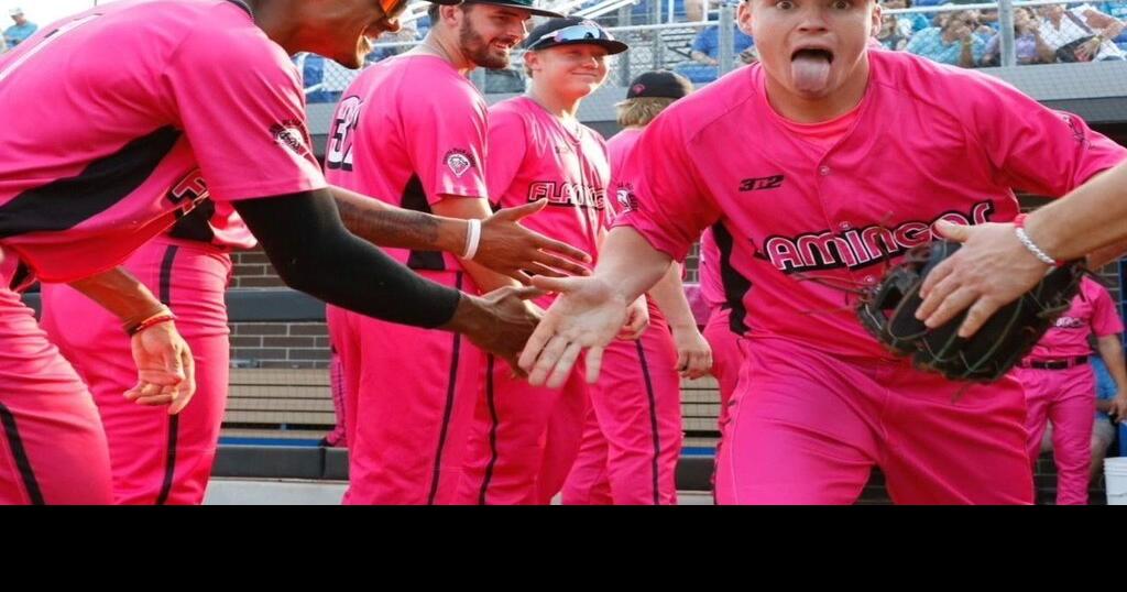 When to go, what to expect at Florence Flamingos home games | Pee Dee ...