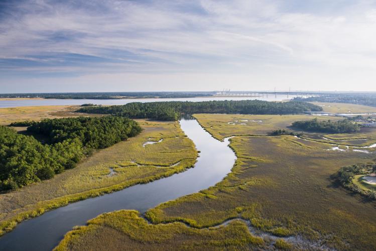 Daniel Island’s final frontier: The Retreat adds to the allure of ...