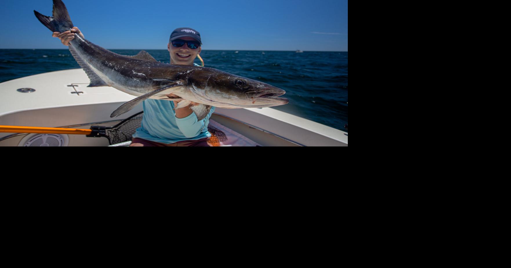 Charleston angler sees cobia get away with rod and reel before nearby ...